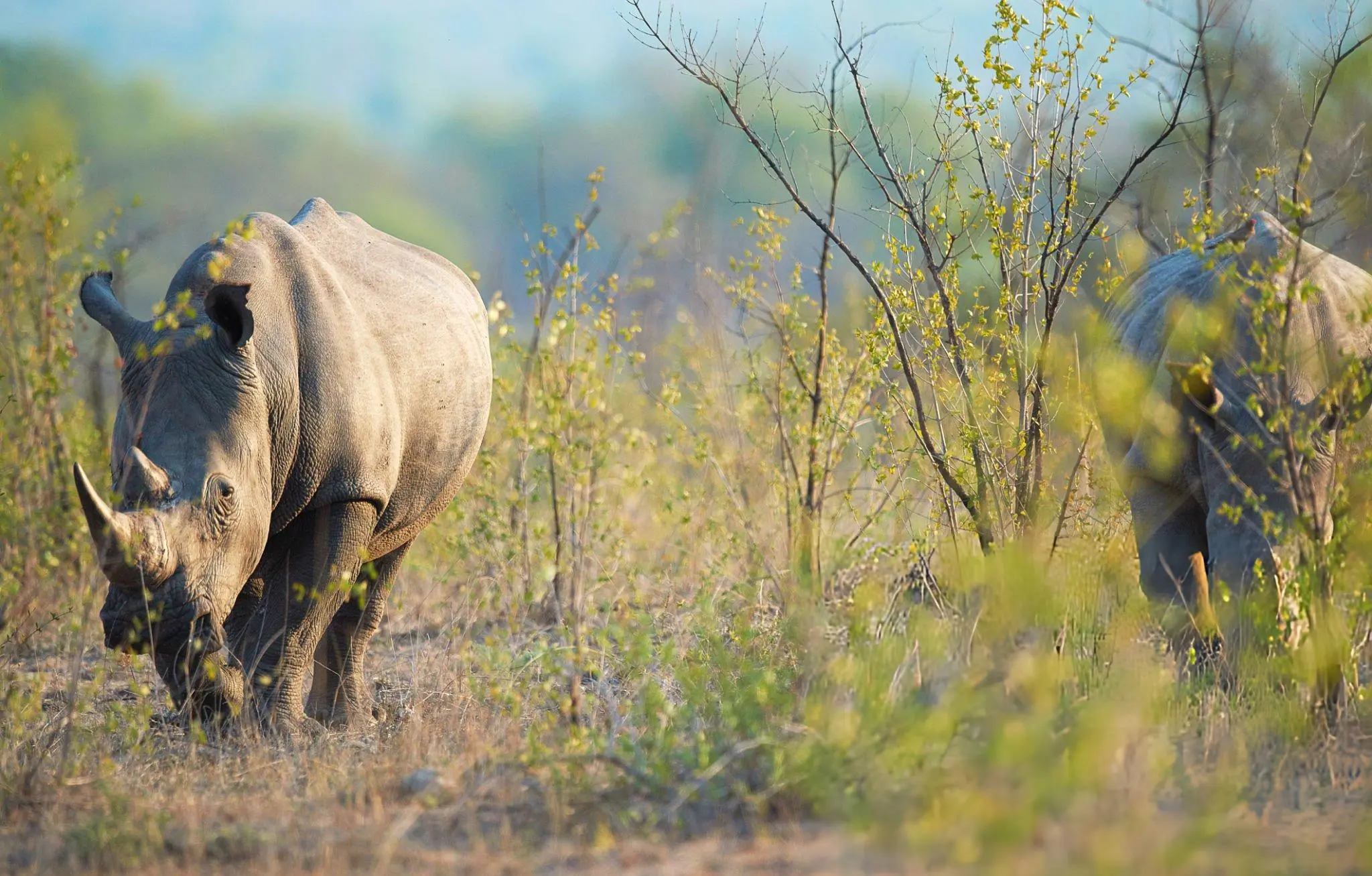 Asante Bibi Tours and Safaris Ltd